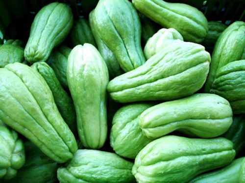 ADVFN News | Picolé de chuchu saboroso